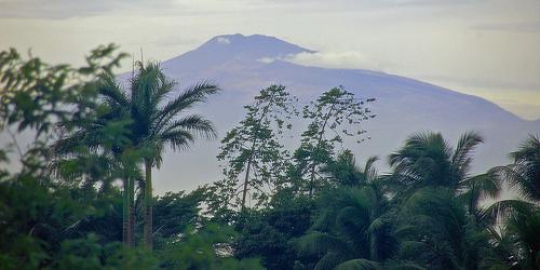 7 Tempat terbasah di bumi | merdeka.com