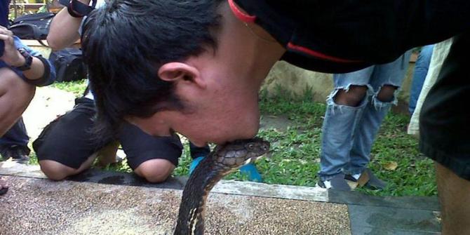 Cara membedakan ular berbisa dan tidak | merdeka.com