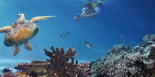 Inilah 5 cagar alam paling mengagumkan di dunia | merdeka.com