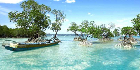 5 Fakta menarik tentang Kepulauan Andaman | merdeka.com