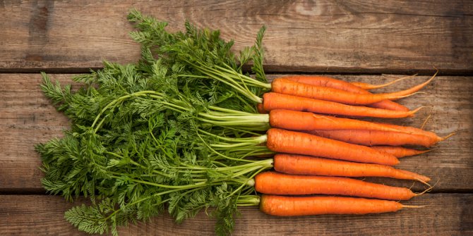 Eda widiya : fakta unik wortel