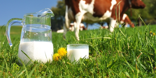 Ungkap fakta menarik tentang 3 produk susu ini!