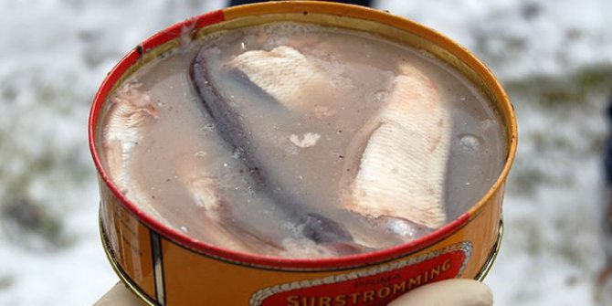 7 Makanan berbau paling busuk di dunia | merdeka.com