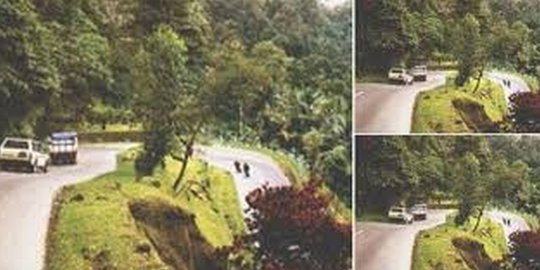 10 Jalanan paling angker di Indonesia | merdeka.com