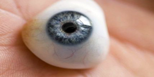 5 Anggota tubuh hasil ciptaan manusia | merdeka.com