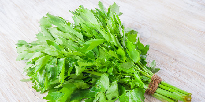 8 Alasan kenapa seledri bagus untuk kesehatan tubuh | merdeka.com