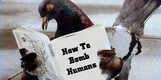 Inilah 10 eksperimen militer teraneh sepanjang sejarah manusia ...