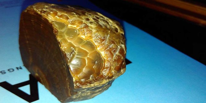 Geger! Ditemukan sisik ular di dalam batu akik | merdeka.com