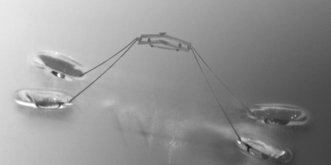 Robot serangga ini bisa melompat dan mendeteksi polusi air | merdeka.com