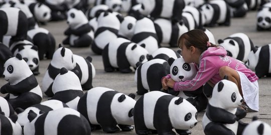 6 Fakta unik di balik panda yang menggemaskan | merdeka.com