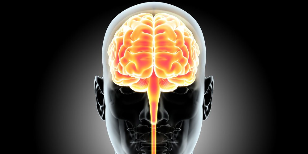 Kenapa mitos otak manusia hanya digunakan10% masih populer? | merdeka.com