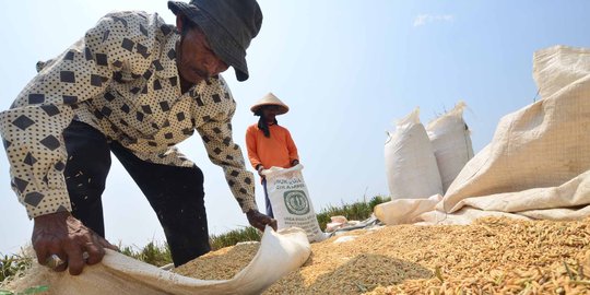 Musim kemarau, petani diminta manfaatkan air permukaan untuk irigasi ... Musim kemarau, petani diminta manfaatkan air permukaan untuk irigasi ...