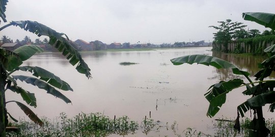 Sungai meluap, ratusan rumah & sekolah di Subang terendam banjir | merdeka.com