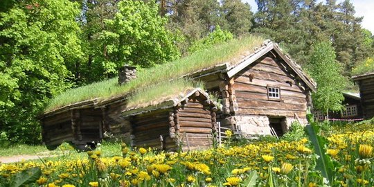 Keunikan kebun di atas atap Norwegia, tradisi zaman Viking