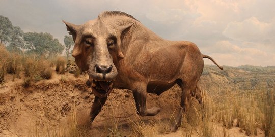 6 Nama ilmiah dengan latar belakang unik, dari nama artis hingga nama ...