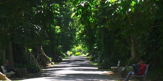 Bertemu plt kepala LIPI, Jokowi minta Kebun Raya Bogor dibuat lebih ...
