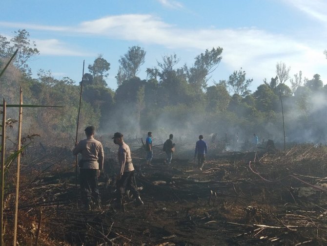 Kebakaran lahan gambut di Aceh Barat sudah dua hari belum padam | merdeka.com