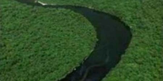 Ular-ular raksasa dan berbisa ini berkembang biak di Indonesia ...