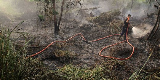 Sejak Awal 2018, Kebakaran Hutan dan Lahan di Riau 5.776 hektare | merdeka.com