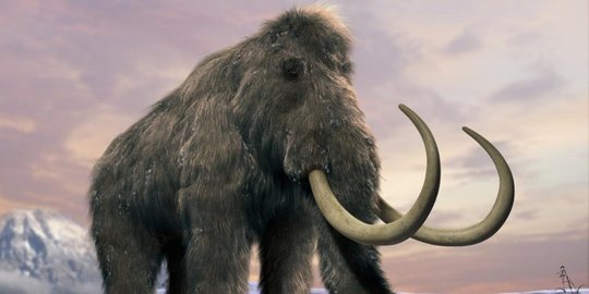 4 Perubahan Positif Pada Bumi Berkat Perilaku Binatang! | merdeka.com