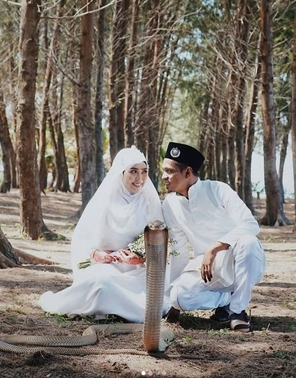 Unik dan Mengerikan, Calon Pengantin Ini Prewed dengan King Kobra ...