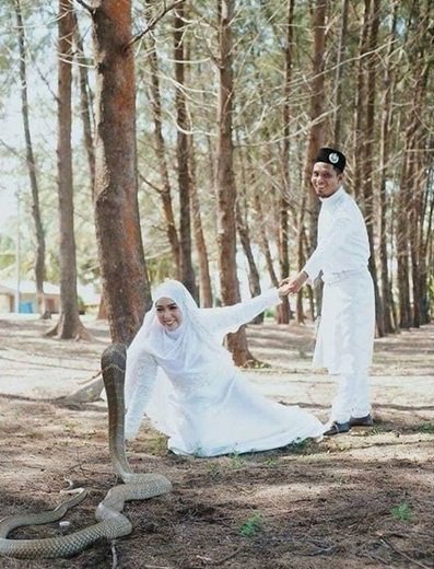 Unik dan Mengerikan, Calon Pengantin Ini Prewed dengan King Kobra ...