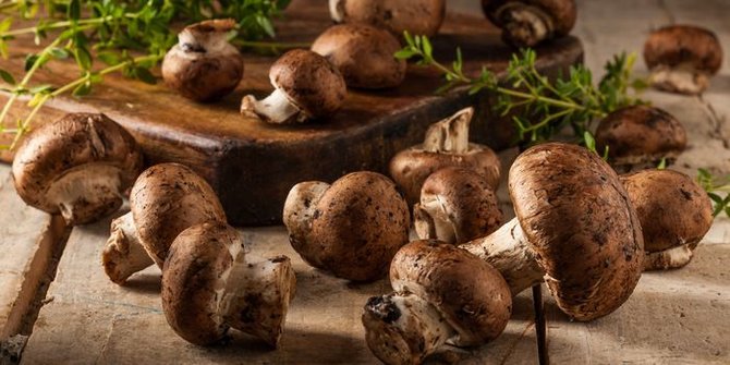 8 Macam Jamur yang Bisa Dikonsumsi, Tidak Semua Jenis Aman Halaman 6 ...