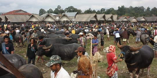 7 Pasar Unik di Indonesia, Jual Daging Ular hingga Kerbau Ratusan Juta ...