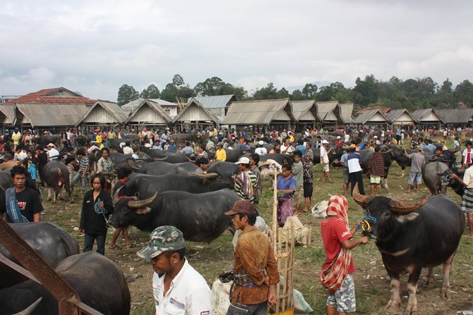 7 Pasar Unik di Indonesia, Jual Daging Ular hingga Kerbau Ratusan Juta ...