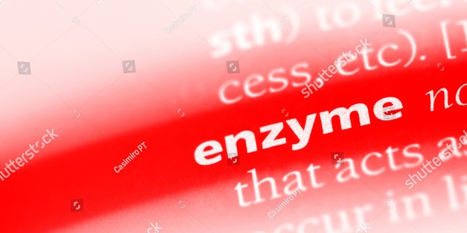 Mengenal Fungsi Enzim, Macam dan Cara Kerjanya yang Dibutuhkan Tubuh ...