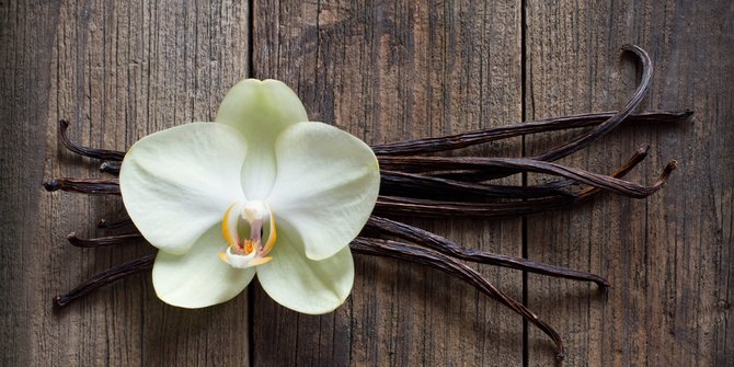 Indonesia Jadi Negara Kedua dengan Ekspor Vanilla Terbesar di Dunia ...