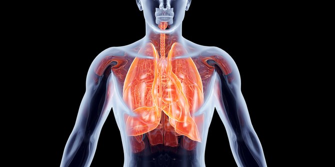 5 Fungsi Bronkus dan Bronkiolus, Menyalurkan Udara hingga Menyaring ...
