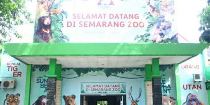 Semarang Zoo Dibuka Kembali, Dua Koleksi Satwa Baru Ini Diberi Nama ...