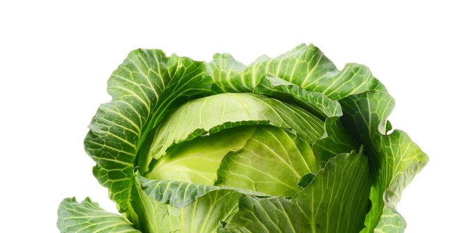 8 Manfaat Kol untuk Kesehatan, Kaya Vitamin dan Mineral Penting ...