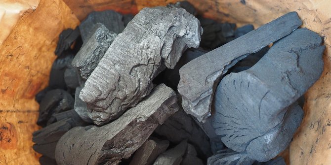 7 Manfaat Arang untuk Tanaman, Jaga Kebun Anda dengan Limbah Tani ...