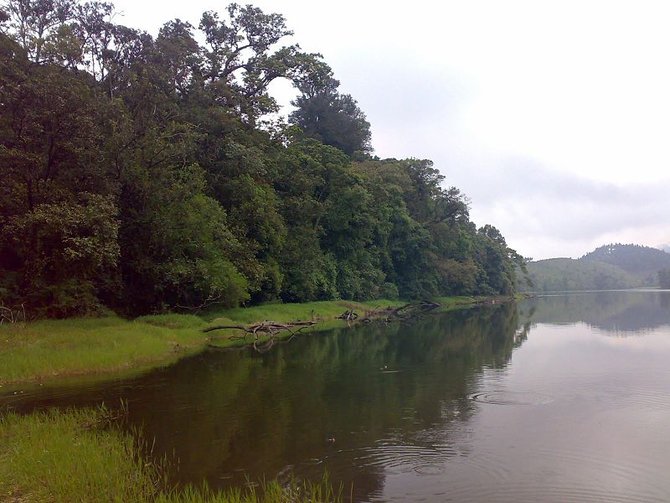 Dihuni Jutaan Ikan 'Kramat', Ini 5 Fakta Telaga Ranjeng di Brebes yang ...