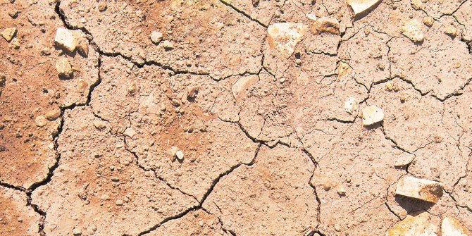 12 Jenis-jenis Tanah Beserta Persebarannya yang Wajib Diketahui ...