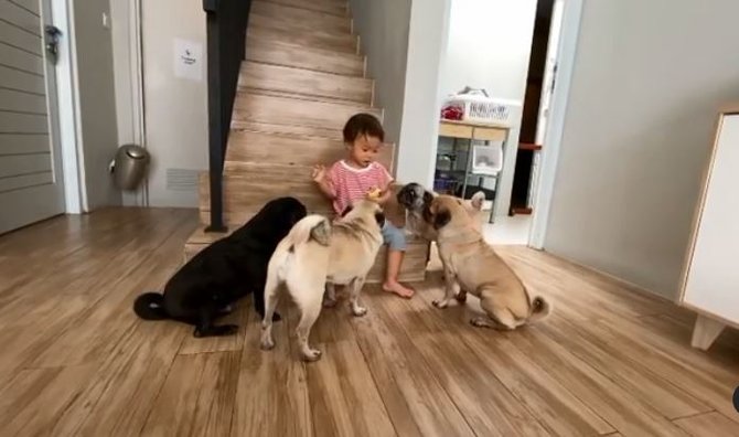 Minimalis dan Serba Putih, Intip 4 Potret Rumah Cici Panda di Bali ...