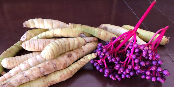 Manfaat Garut Bagi Kesehatan, Umbi Bebas Gluten yang Kaya Nutrisi | merdeka.com