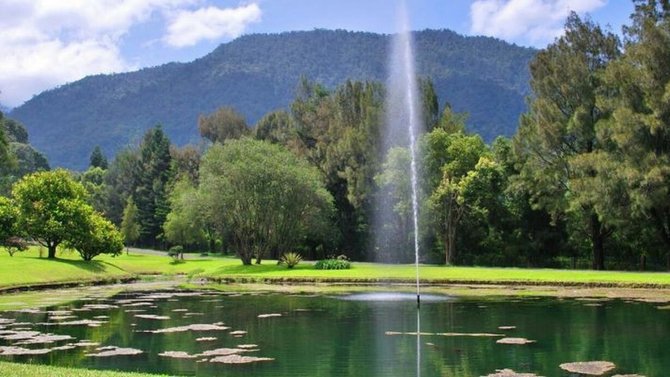 6 Wisata Bedugul Bali yang Siap Manjakan Mata, dari Danau Buyan Hingga ...