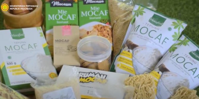 Perbedaan Mocaf dan Tapioka Beserta Masing-masing Kelebihan dan ...