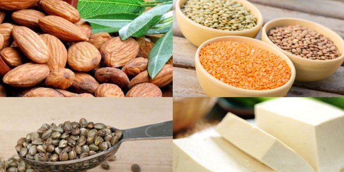 4 Manfaat Protein bagi Tubuh Manusia Beserta Cara Mendapatkannya ...