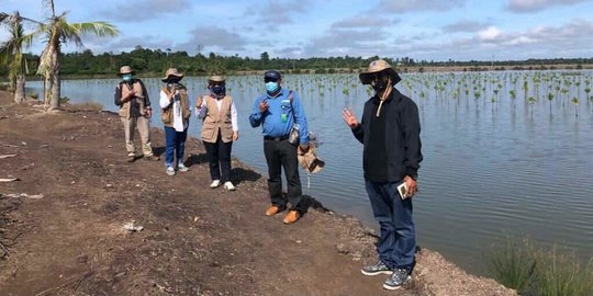 Kemenko Marves Tinjau Lokasi Padat Karya PEN Mangrove di Tana Tidung ...