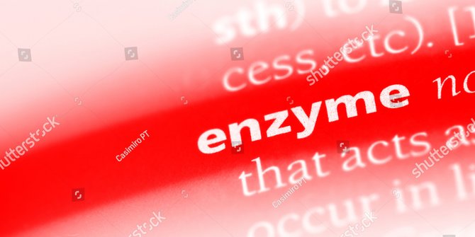 Ketahui Cara Kerja Enzim Beserta Sifat dan Fungsinya bagi Tubuh, Ini ...