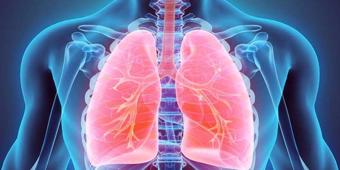 Gejala Tuberkulosis yang Perlu Diperhatikan, Kenali Penyebab dan Cara ...