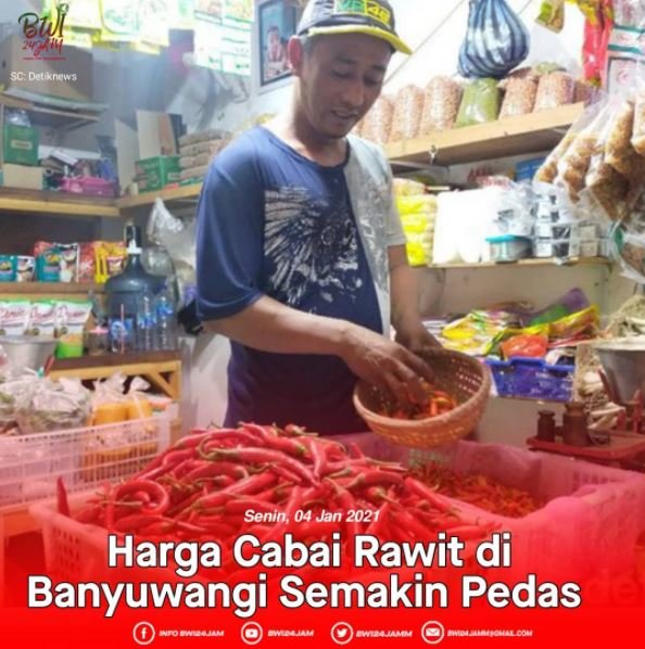 Harga Cabai di Banyuwangi Naik Terus, Komentar Warganet Ini Bikin Salah ...