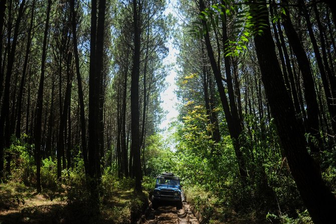 Menguji Nyali Bersama Landy | merdeka.com