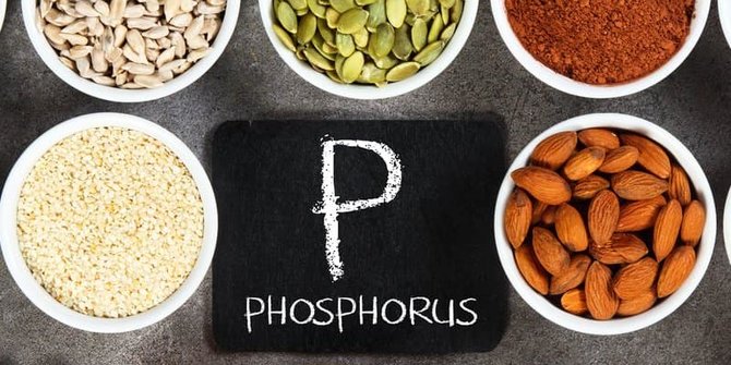 10 Fungsi Fosfor bagi Tubuh yang Patut Diketahui, Bantu Perkuat Tulang ...