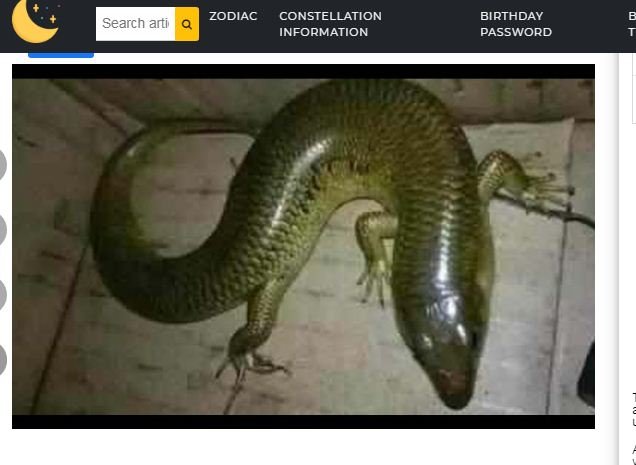 CEK FAKTA: Tidak Benar Dabbah Hewan Tanda Kiamat Muncul di Israel ...