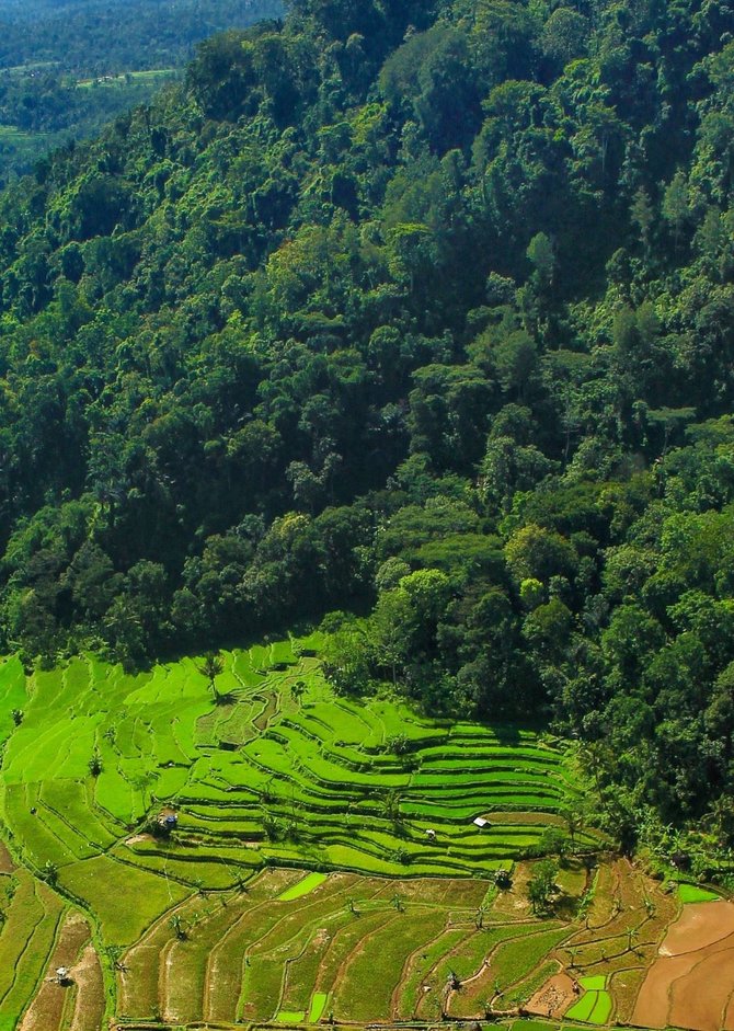 Menantang Nyali di Desa Sepakung Lembah Telomoyo | merdeka.com